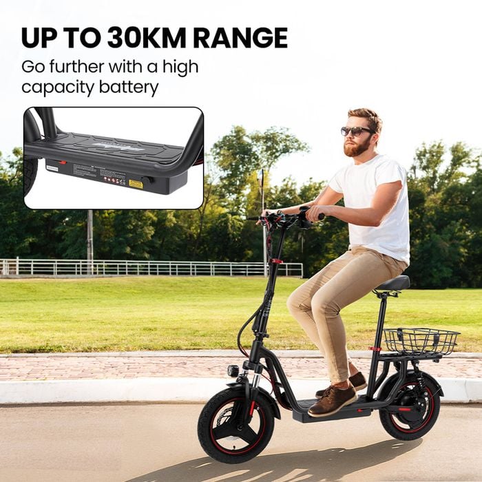 ALPHA Rover Electric Scooter with Seat, 500W 48V 25km/h 30km Range, 14 ...