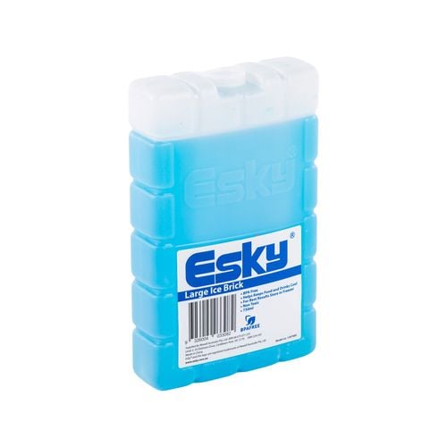 Esky Large Ice Brick - Bunnings Australia