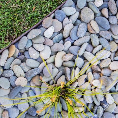 Tuscan Path 10 - 20mm 10kg Smooth Cream Pebbles - Bunnings Australia