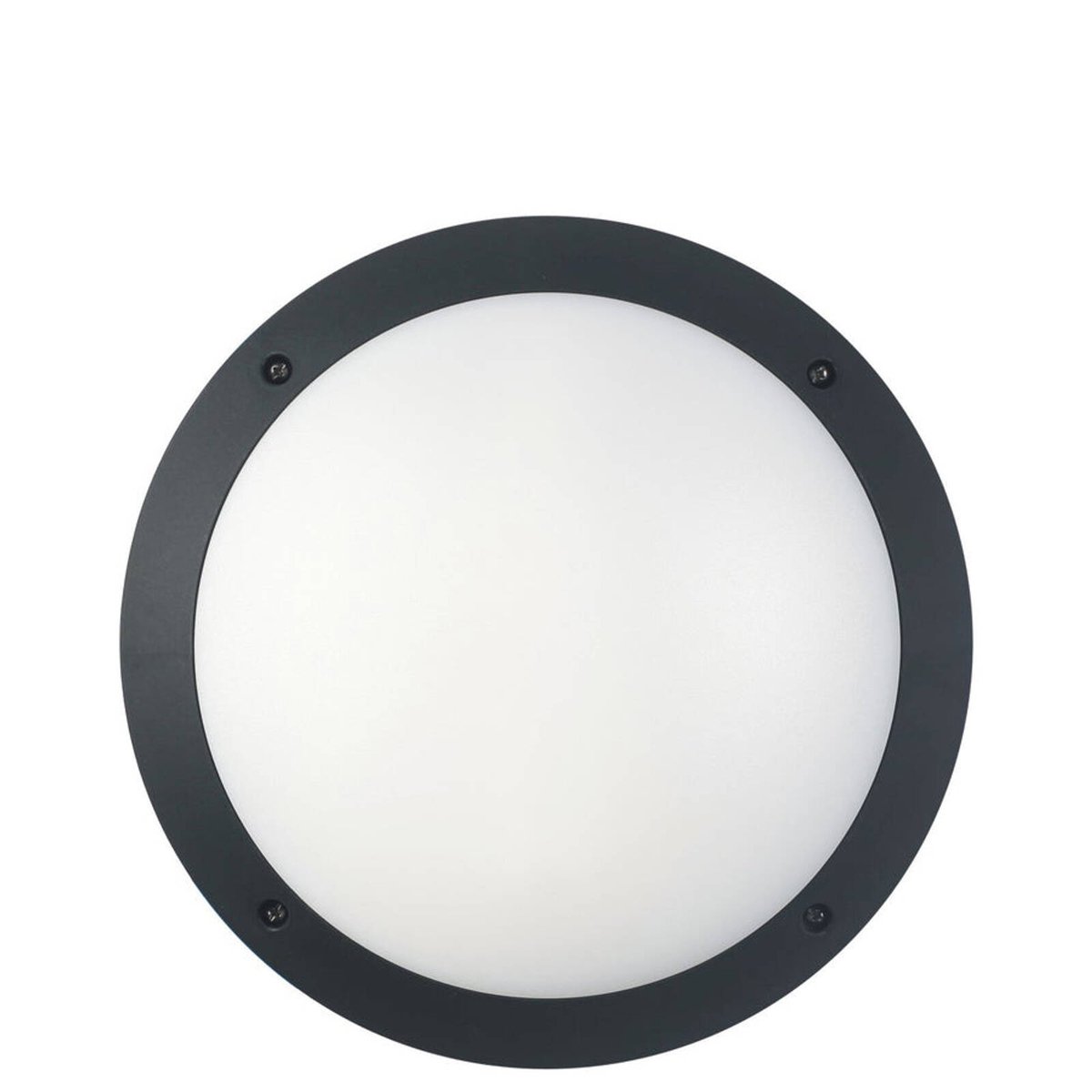 CLA Lighting Bulk Round LED Bulkhead Light IP66 IK10 Black - Bunnings ...