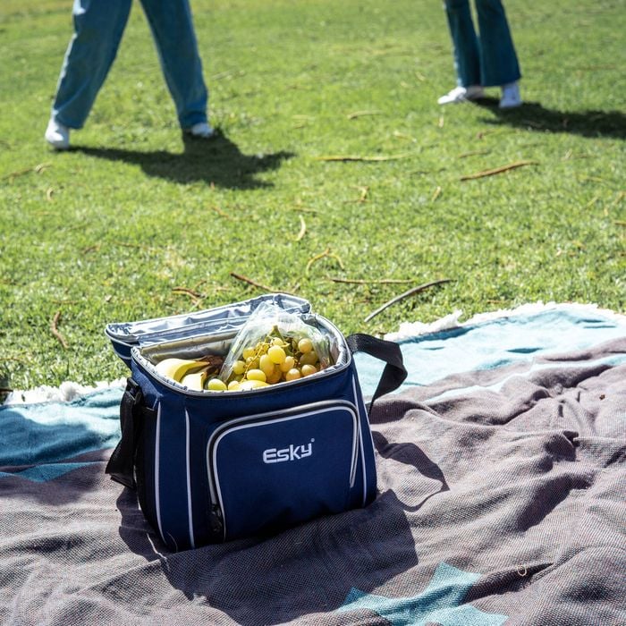 Esky 30 Can Blue Soft Cooler Bag - Bunnings Australia