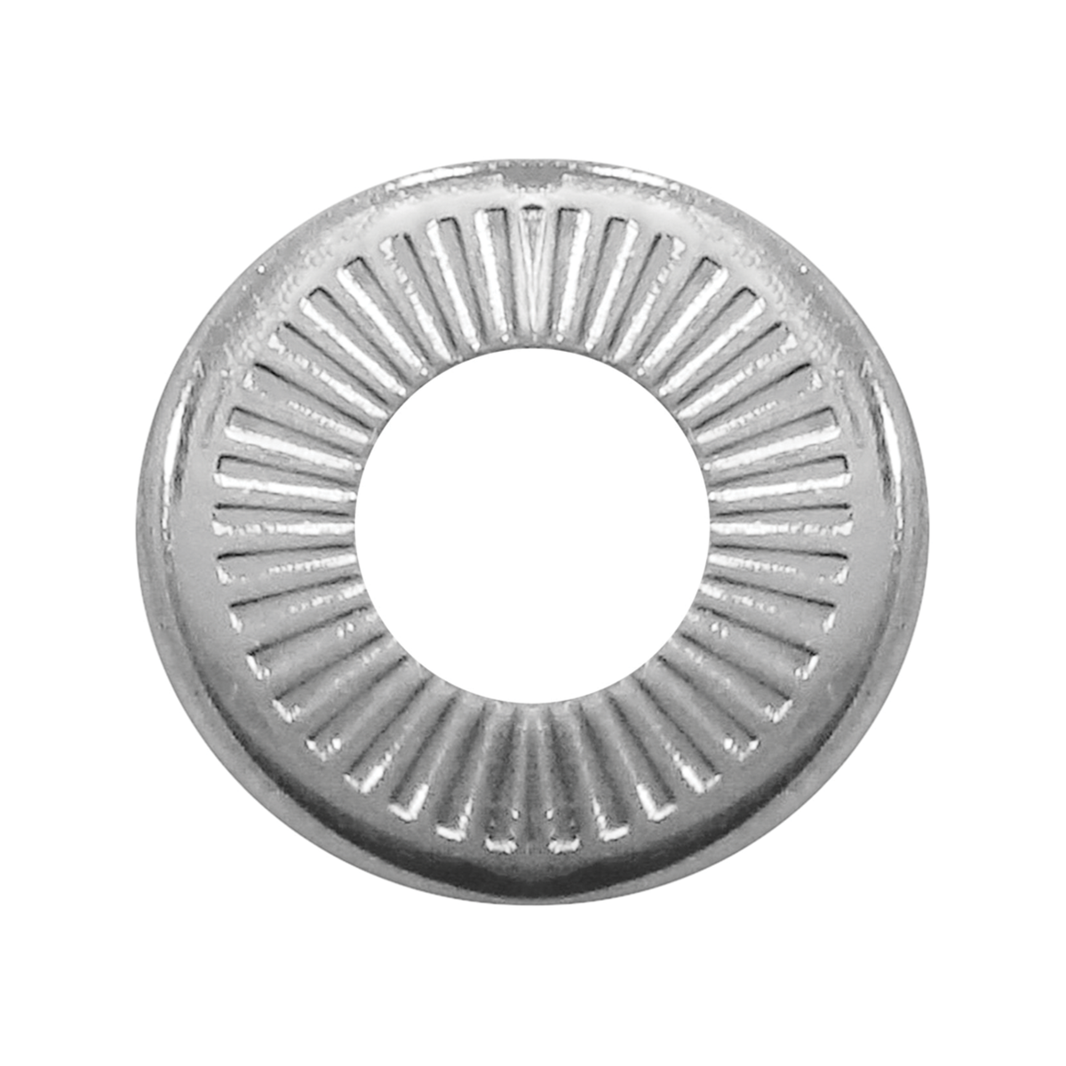 Pinnacle M12 Zinc Plated Conic Contact Washer - 6 Pack - Bunnings New ...