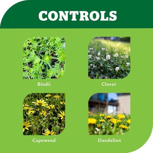 Yates 500ml Bindii And Clover Lawn Weedkiller Concentrate - Bunnings ...