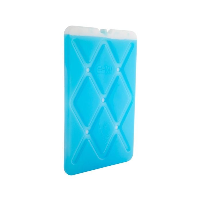 Esky Large Slim Ice Brick - Bunnings Australia