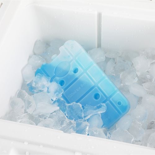 Marquee Medium Ice Brick - Twin Pack - Bunnings Australia