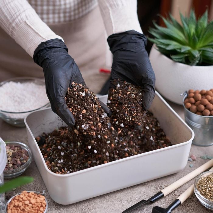 Egmont 5L Pumice Promix - Bunnings New Zealand