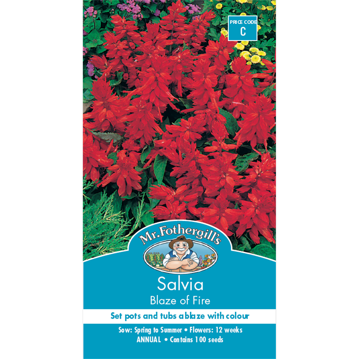 Mr Fothergill's Blaze Of Fire Salvia Flower Seeds - Bunnings Australia