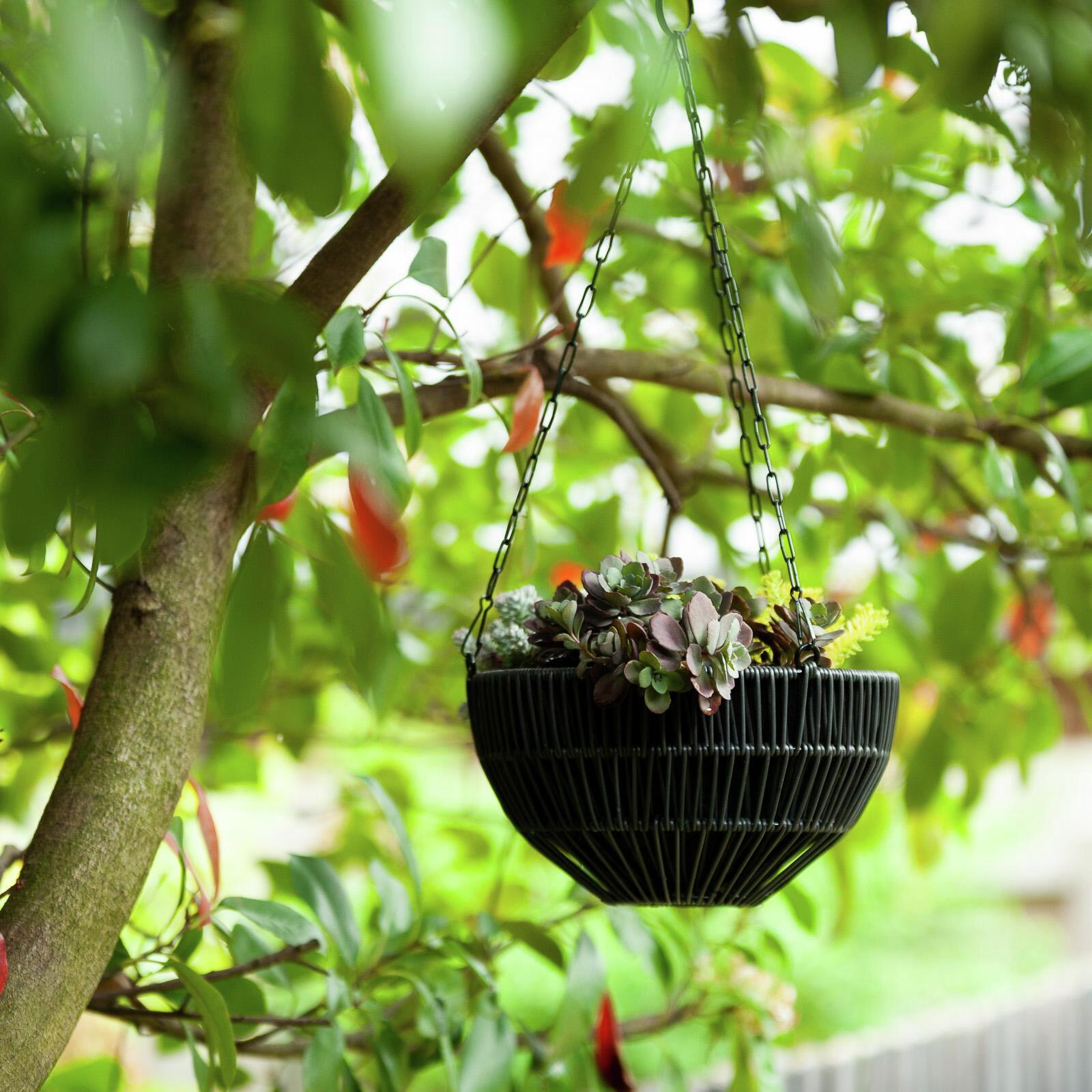 Hanging pots bunnings store