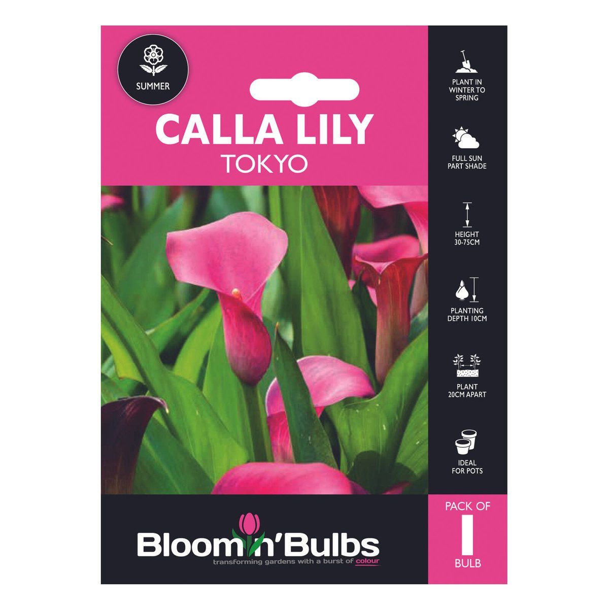 Bloomin' Bulbs Summer Pink Calla Lily Tokyo - 1 Pack - Bunnings Australia