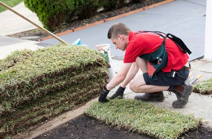 How To Lay Turf Bunnings Australia