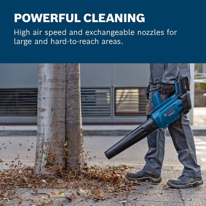 Bosch 18V Professional 800m³/h Blower With Trigger Lock-On 8.0Ah Kit ...