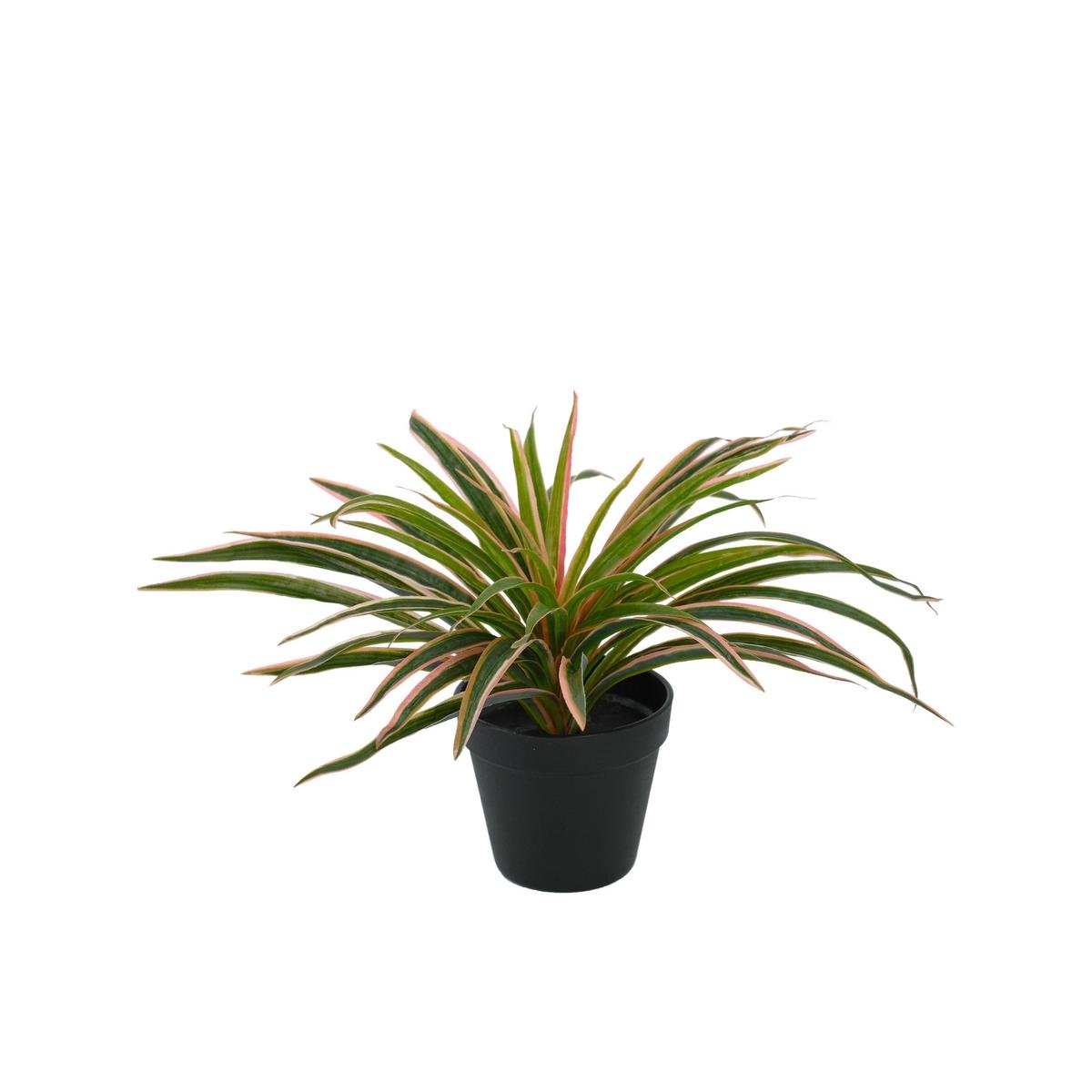 UN-REAL 30cm Pink Artificial Spider Plant - Bunnings Australia