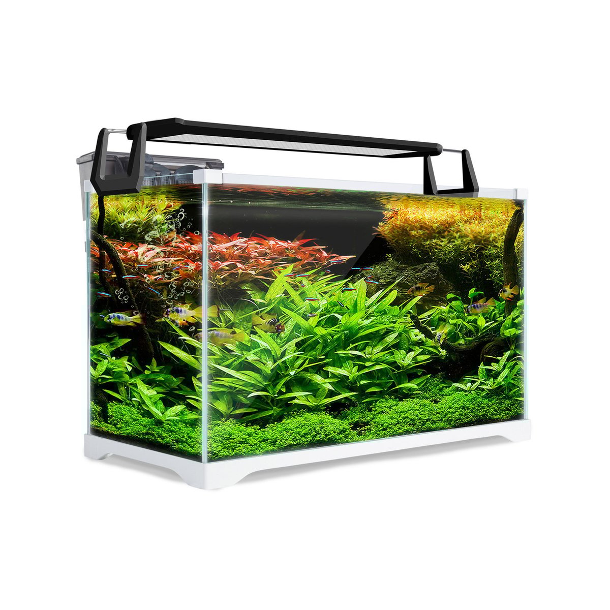Dynamic Power Aquarium Fish Tank 39L Starfire Glass - Bunnings Australia
