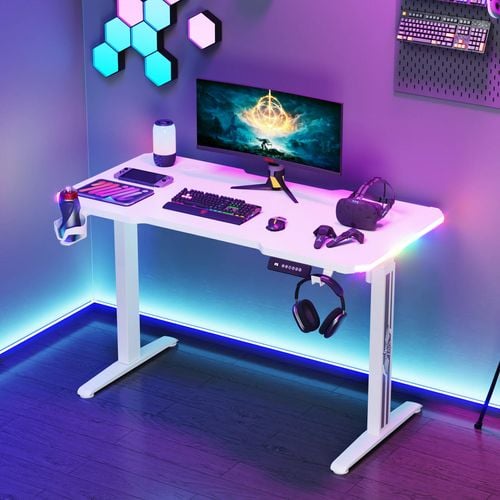 Advwin Electric Standing Desk Gaming Desk RGB LED Height Adjustable ...