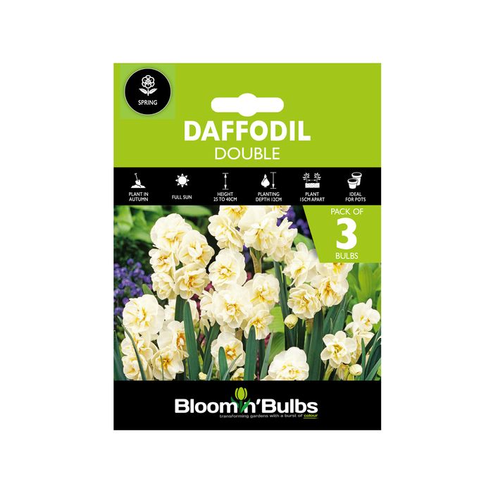 Daffodil Double Spring Green Bulb - 3 Pack - Bunnings Australia