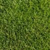 Tuff Turf 1.8m Real Tuff Artificial Grass - Linear Metre - Bunnings New ...