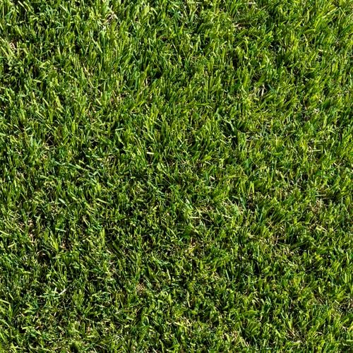 Tuff Turf 1.8m Real Tuff Artificial Grass - Linear Metre - Bunnings New ...