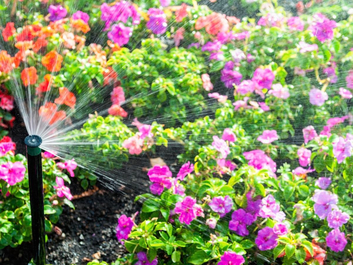 Save Water And Time With A Tap Timer - Bunnings Australia