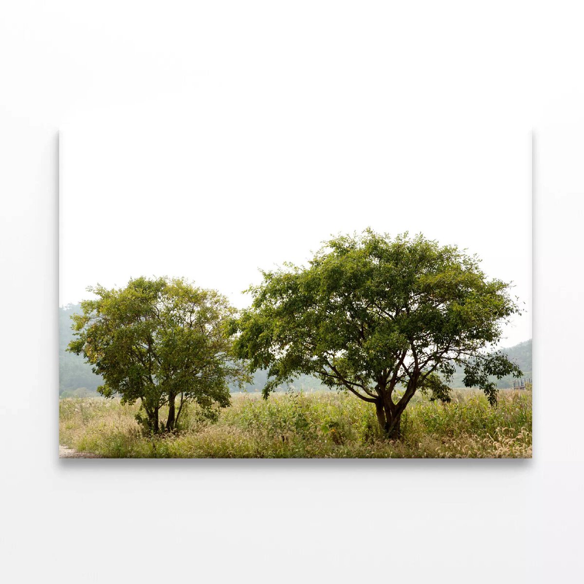 Trees in the Grasslands under Sky Print 100% Australian Made 75 x 50cm ...