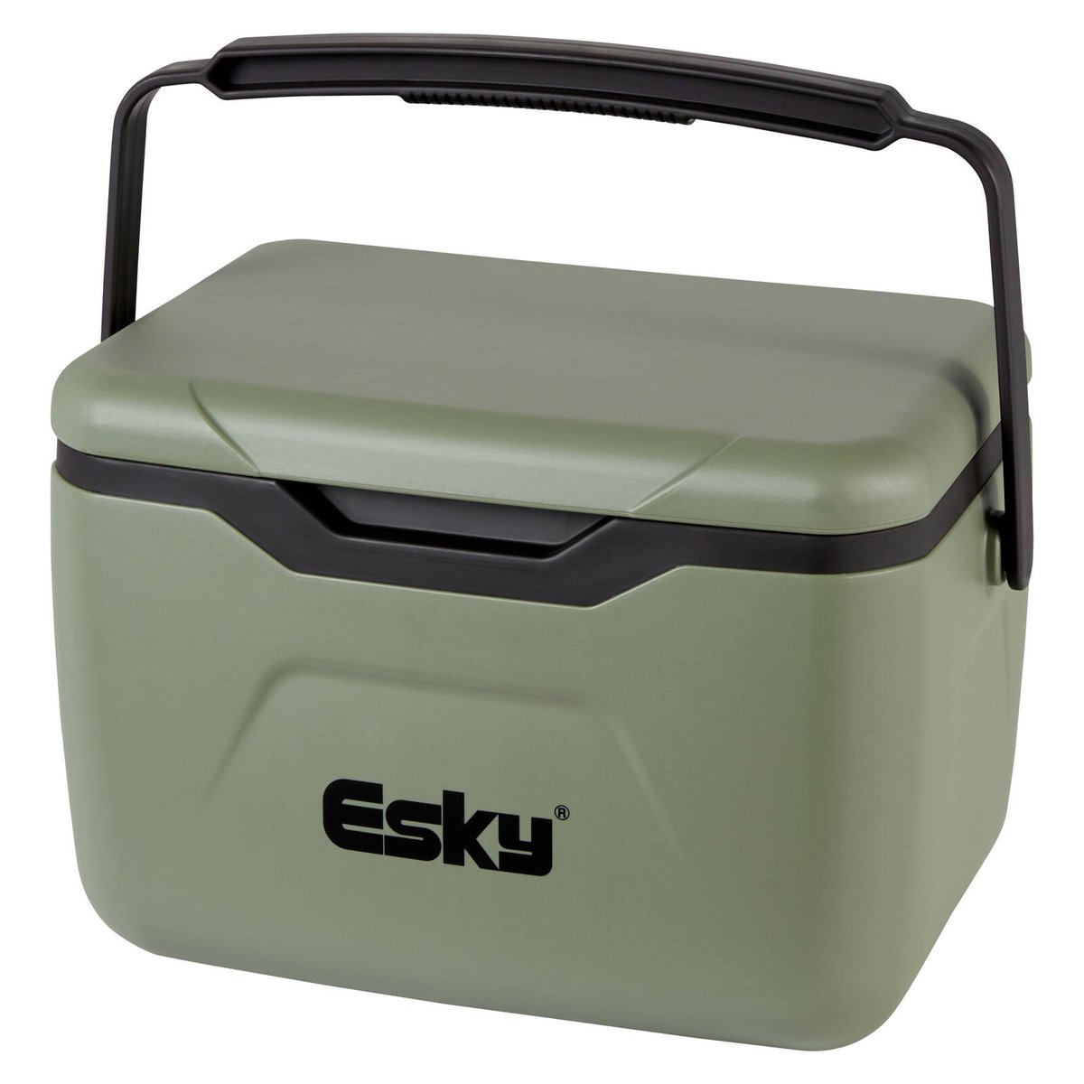 Esky 10L Silver Ash Raptor Hard Cooler - Bunnings Australia