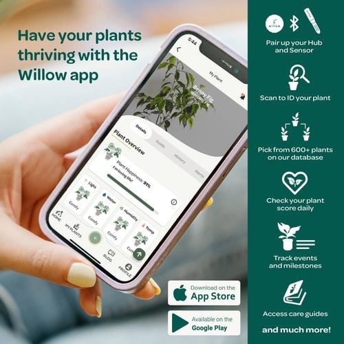 Willow Smart Indoor Plant Sensor Starter Pack Moss - Bunnings Australia