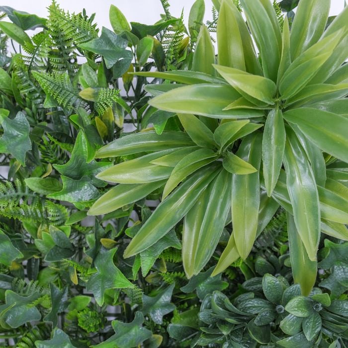 UN-REAL 50 x 50cm Artificial Hedge - Boston Fern - Bunnings Australia