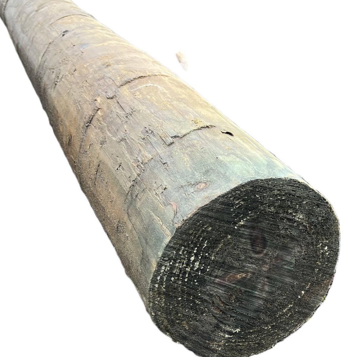 150 - 200mm 2.4m Pole Treated Pine - Bunnings Australia