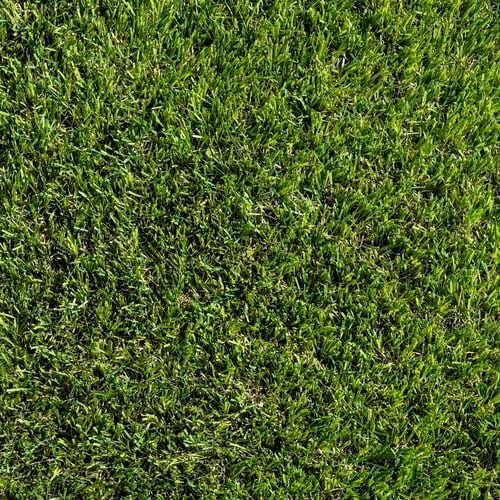 Tuff Turf 1.8 x 5m 35mm Pile Real Tuff Artificial Grass - Bunnings New ...