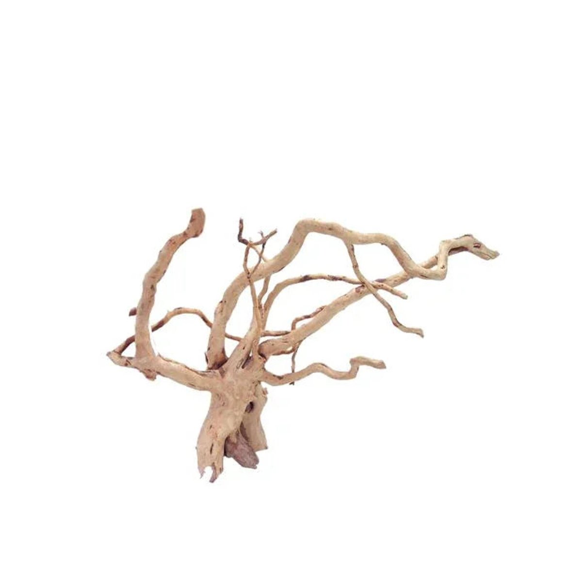 Spider Wood Driftwood Large 40–50 Cm Aquarium & Reptile Decoration ...