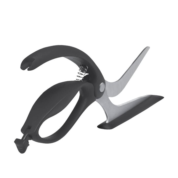 Dreamfarm Scizza Easy Ergonomic Stainless Steel Pizza Scissors & Server ...