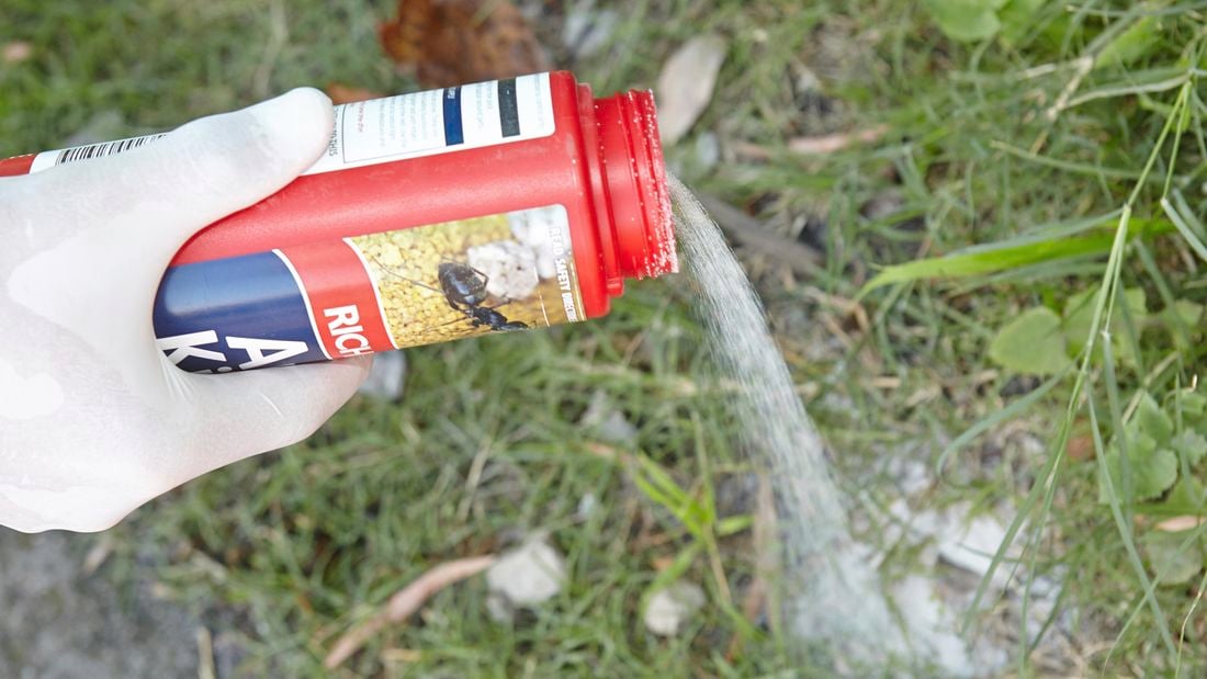 How To Get Rid Of Ants - Bunnings Australia