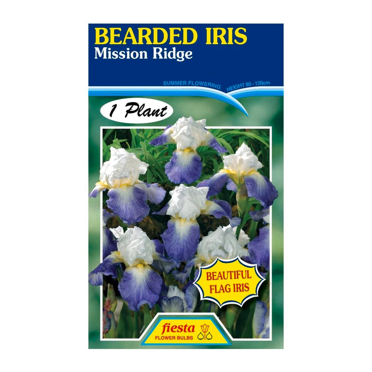 Fiesta Flower Bulbs Iris Germanica Mission Ridge Bulb - Bunnings New ...