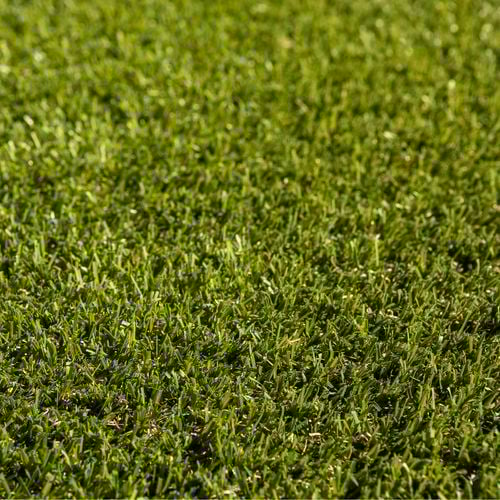 Grass Artificial Tuff Turf 1.8m Wide 25mm Pile K9 Tuff - Per Lineal ...