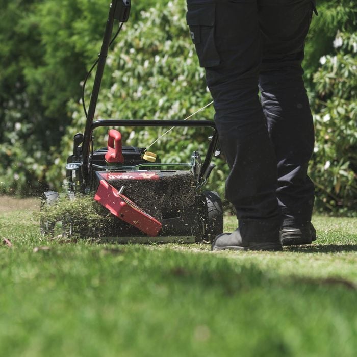 Masport 486 3 n1 Petrol Lawn Mower