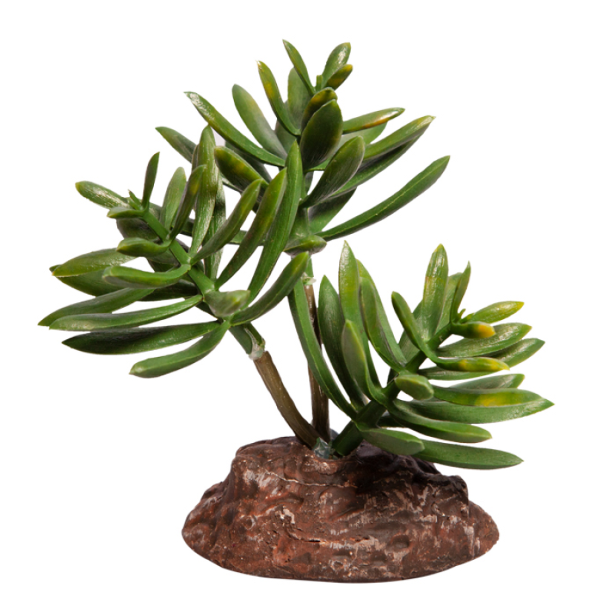Reptile One Plant Mini Senecio Green With Ceramic Base - Bunnings Australia