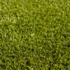 Tuff Turf 1m x 4m 25mm Pile K9 Synthetic Turf - Pre-packed Roll ...