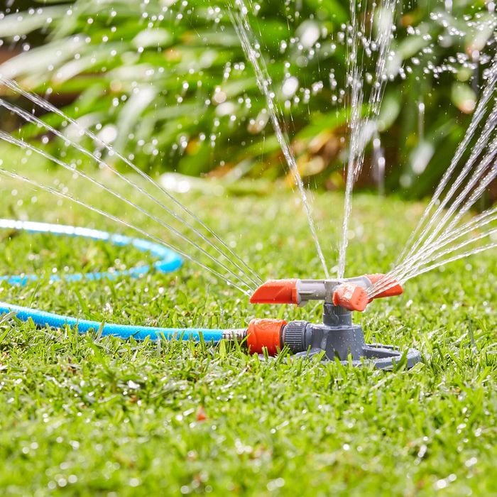 Pope 12mm x 15m True Blue® TR Garden Hose - Bunnings New Zealand