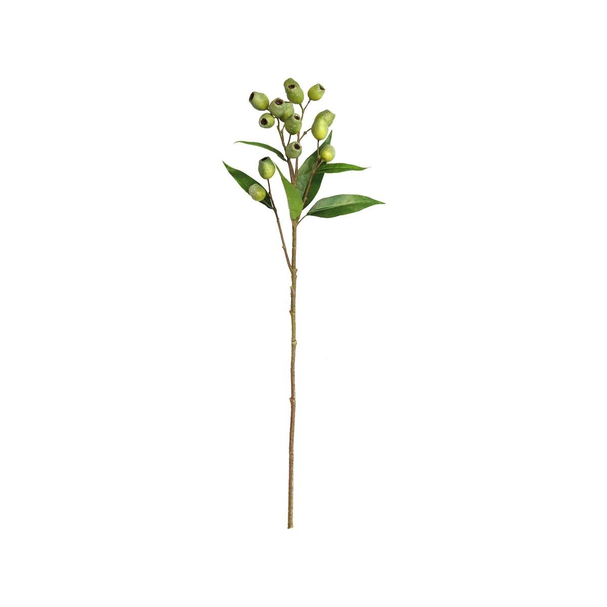70cm Young Gumnut Native Artificial Flower - Bunnings New Zealand