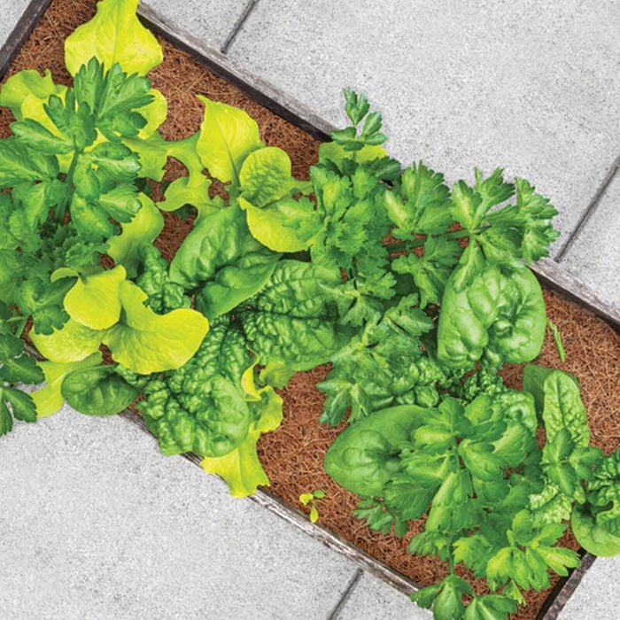 Pillar 0.9 x 10m Natural Coco Weed Control Mat - Bunnings New Zealand