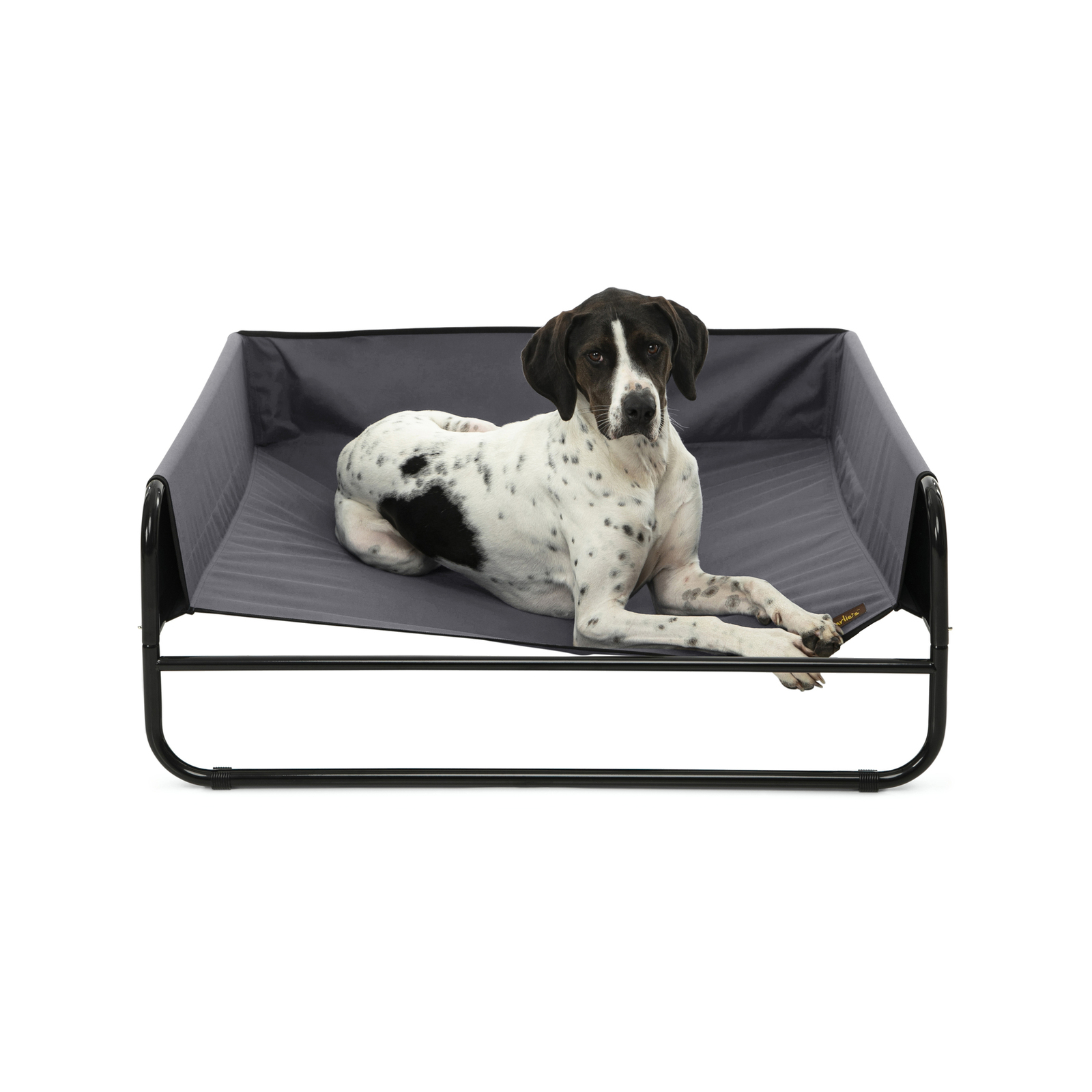 Charlie s High Walled Outdoor Trampoline Dog Bed Grey Large Bunnings Australia