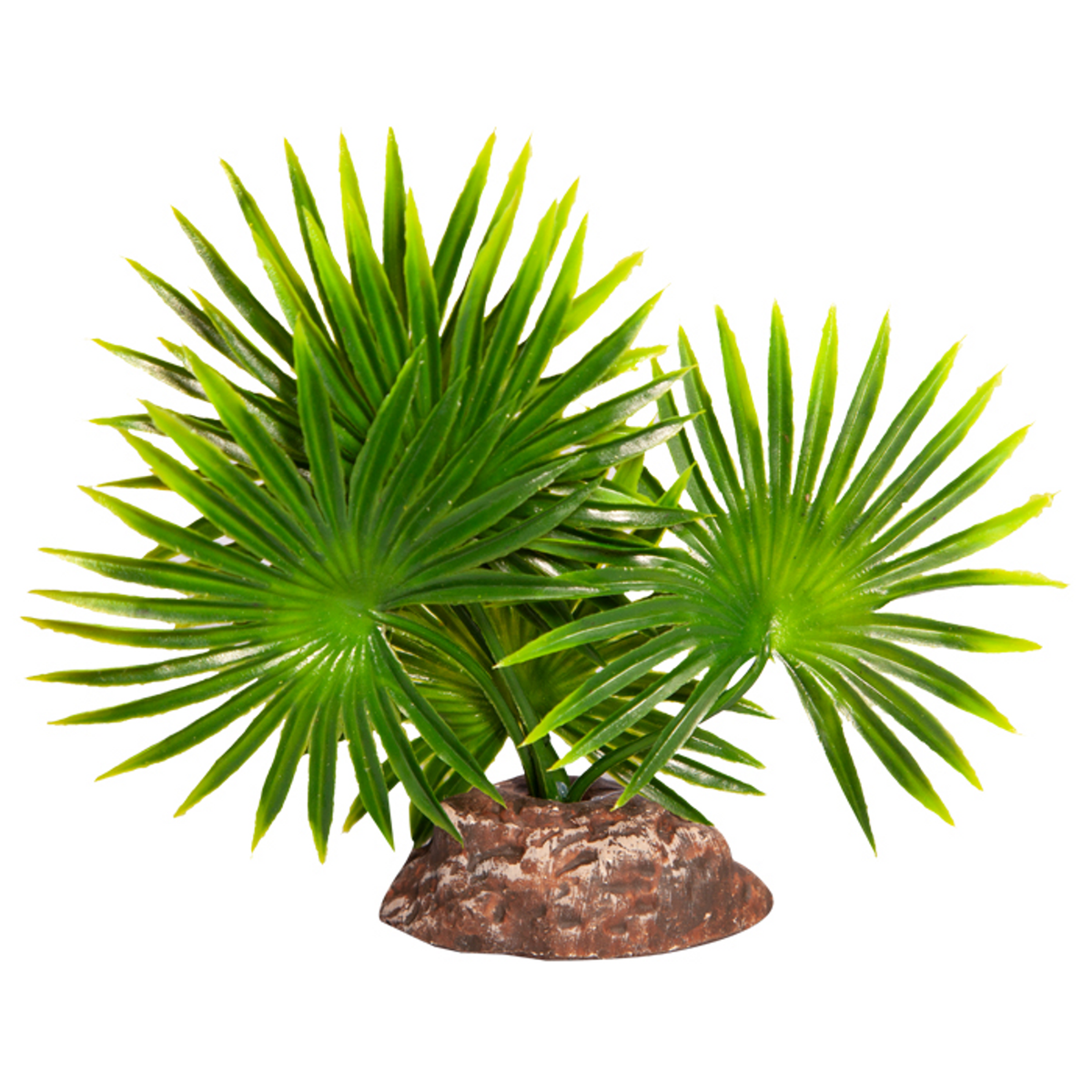 Reptile One Plant Small Fan Palm Green With Ceramic Base - Bunnings ...