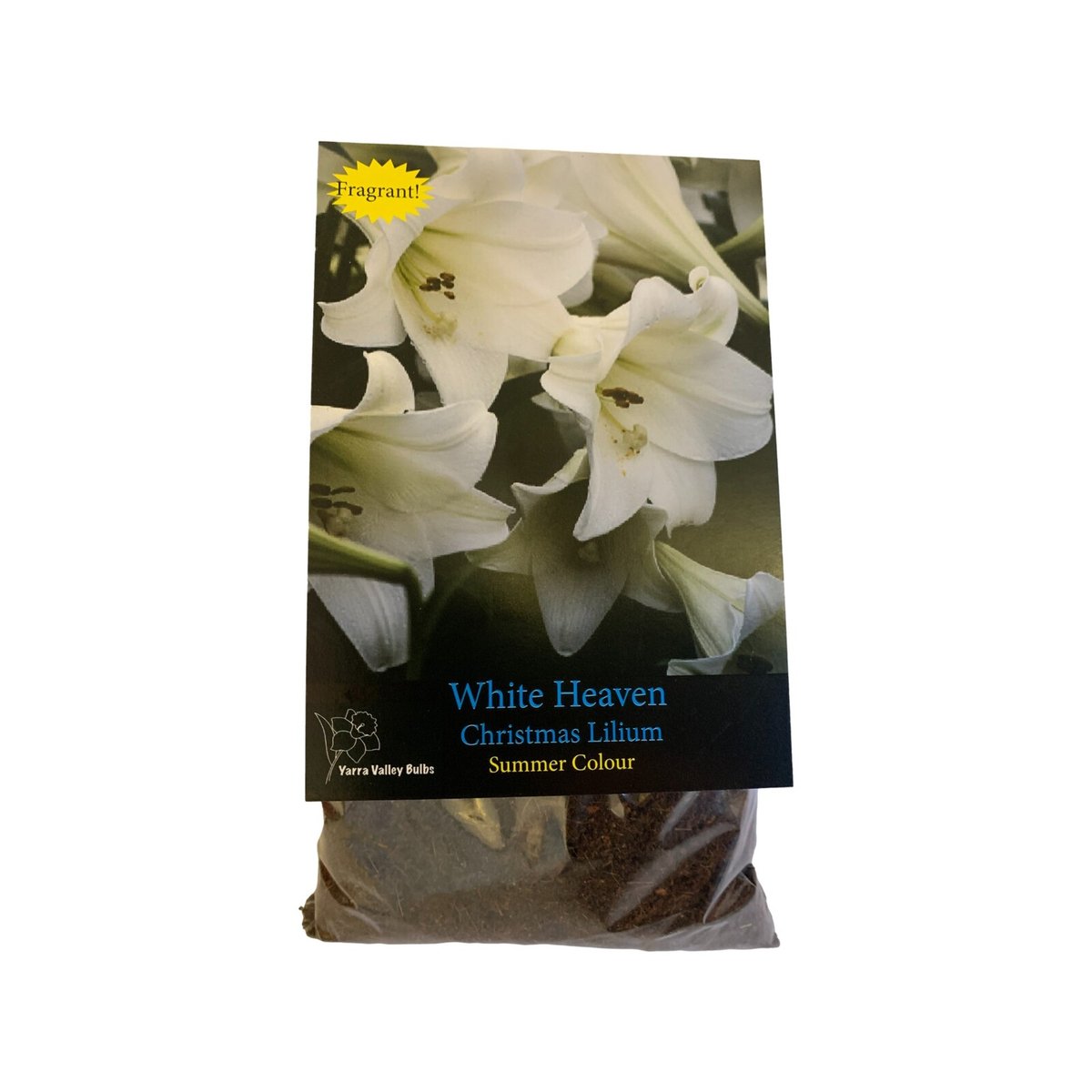 Yarra Valley Bulbs Lilium White Heaven 4 Pack - Bunnings Australia