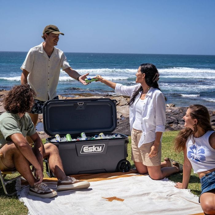 Esky 95L Grey Advanced Chest Cooler - Bunnings Australia