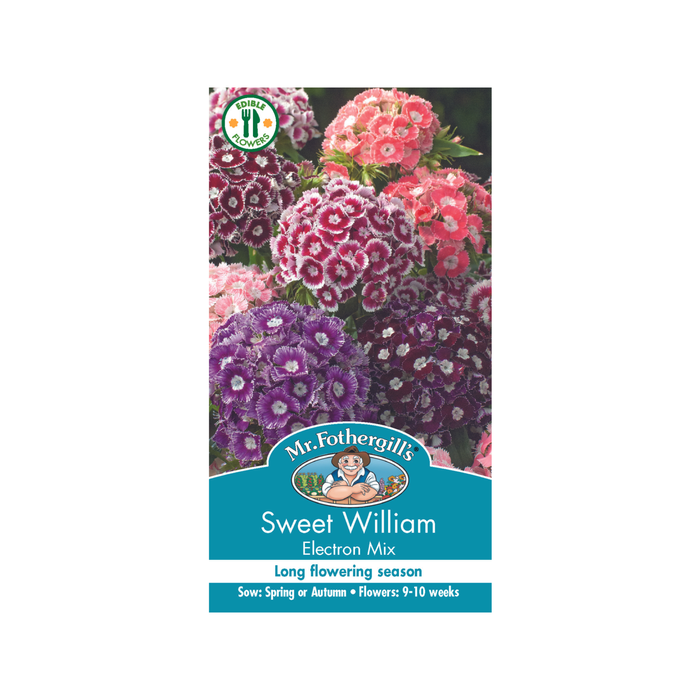 Mr Fothergill's Dianthus Sweet William Electron Seeds - Bunnings Australia