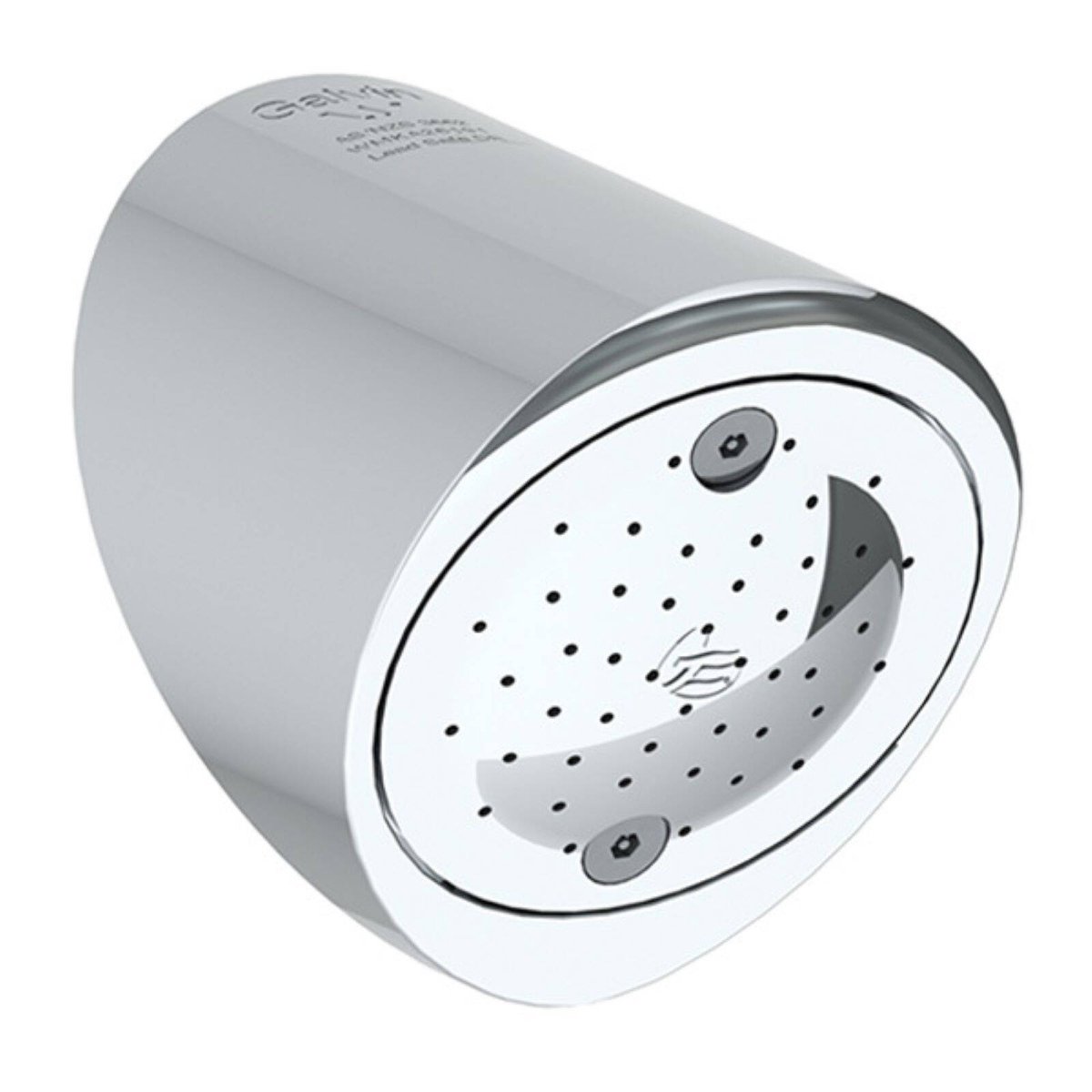 GalvinCare CP-BS Lead Safe MH Ligature Resistant Wall Mtd Shower Rose ...