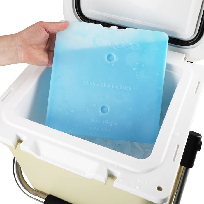 Marquee Large Slim Ice Brick - Twin Pack - Bunnings Australia